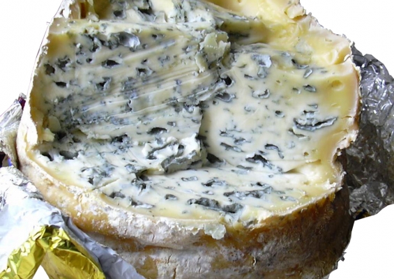Fourme d’Ambert AOC - Gastrovia Turismo e Gastronomia