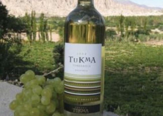 Evento no Consulado Argentino do Rio apresenta vinho torrontés aos ...